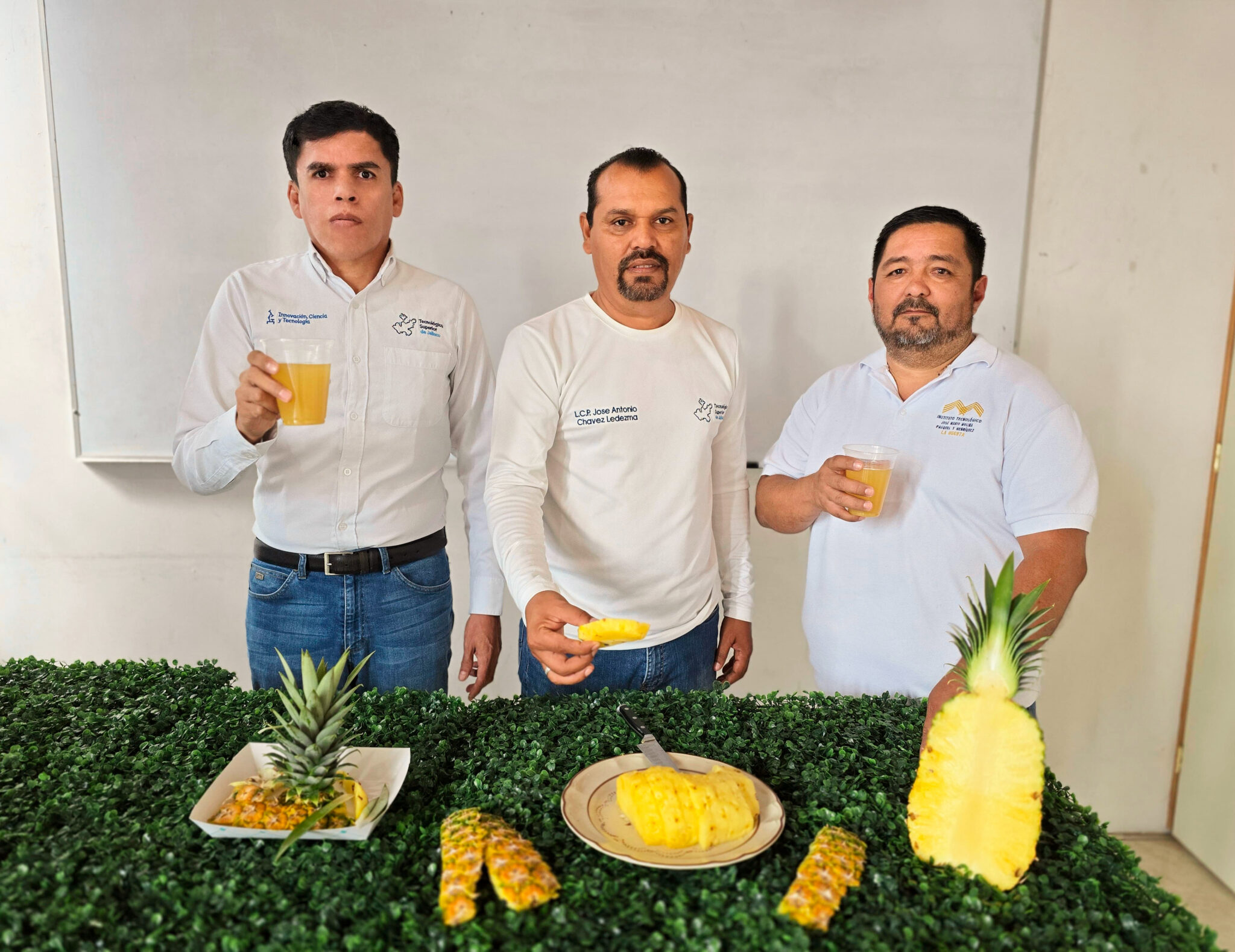 Piña en México: Un sabor dulce con impacto socioeconómico - Physios